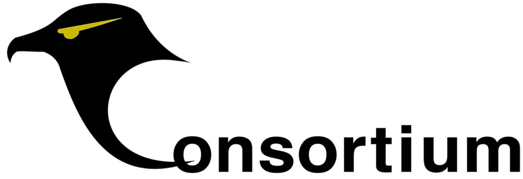 Landing Page - Palestinian Artists Consortium